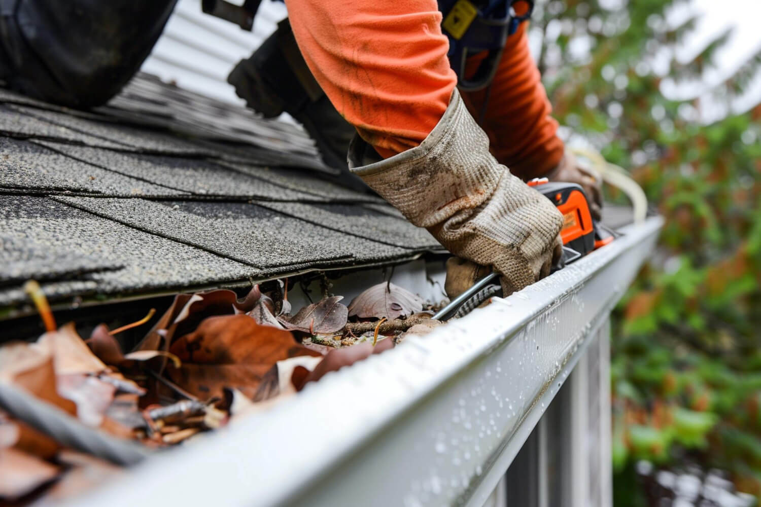 Hvad koster rensning af tagrender? (2025) → Se prisen her